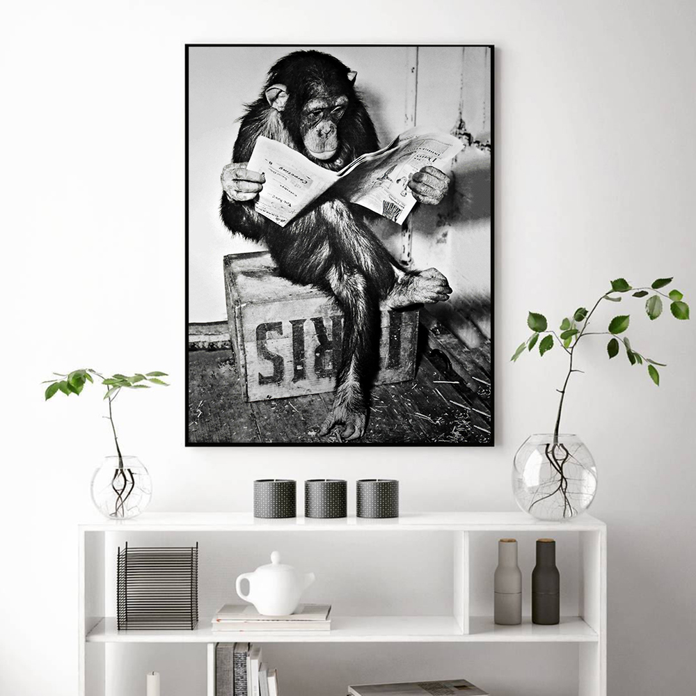 Posters And Printing On The Wall Where Monkeys Read Newspapers For ...