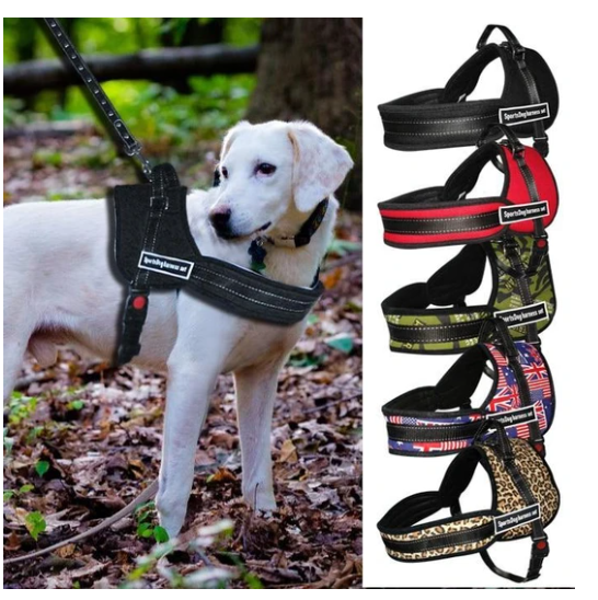 Pet medium and large dog chest strap - CJdropshipping