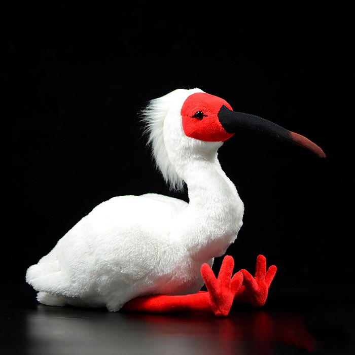 Cute Simulation Model Of Super Cute Crested Ibis Plush Toy - CJdropshipping