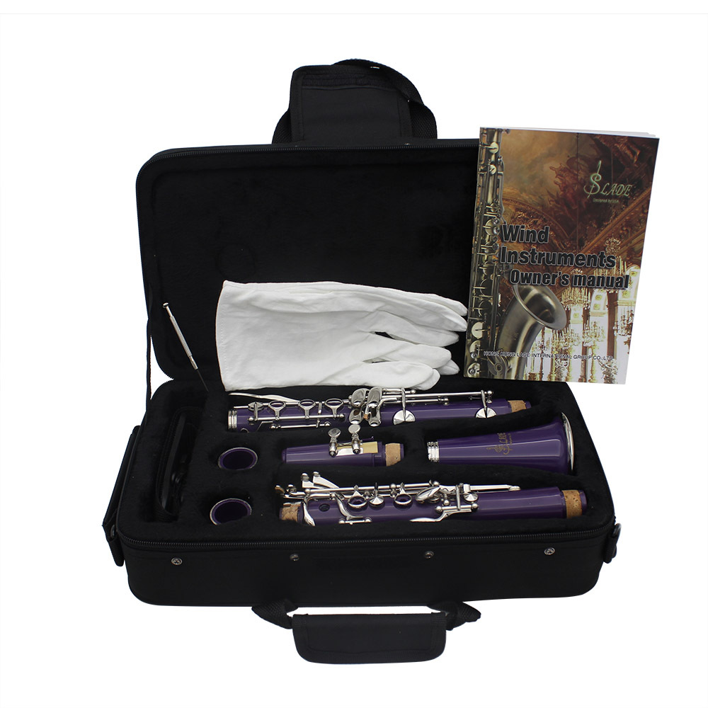 New Grading Instrument Clarinet Set - CJdropshipping